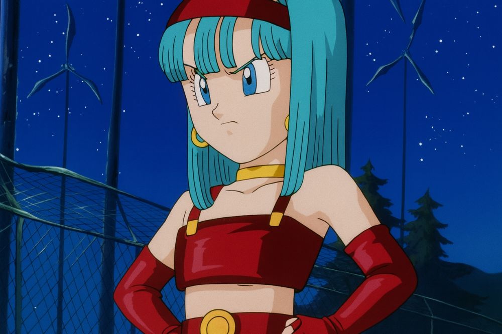 Bra — Biographie • Boutique Dragon Ball